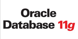 Oracle lanza la versión 2 de Oracle Database 11g | Redes&Telecom